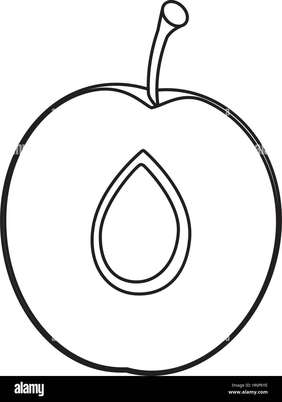 Line drawing fruit Stock Vector Image & Art - Alamy