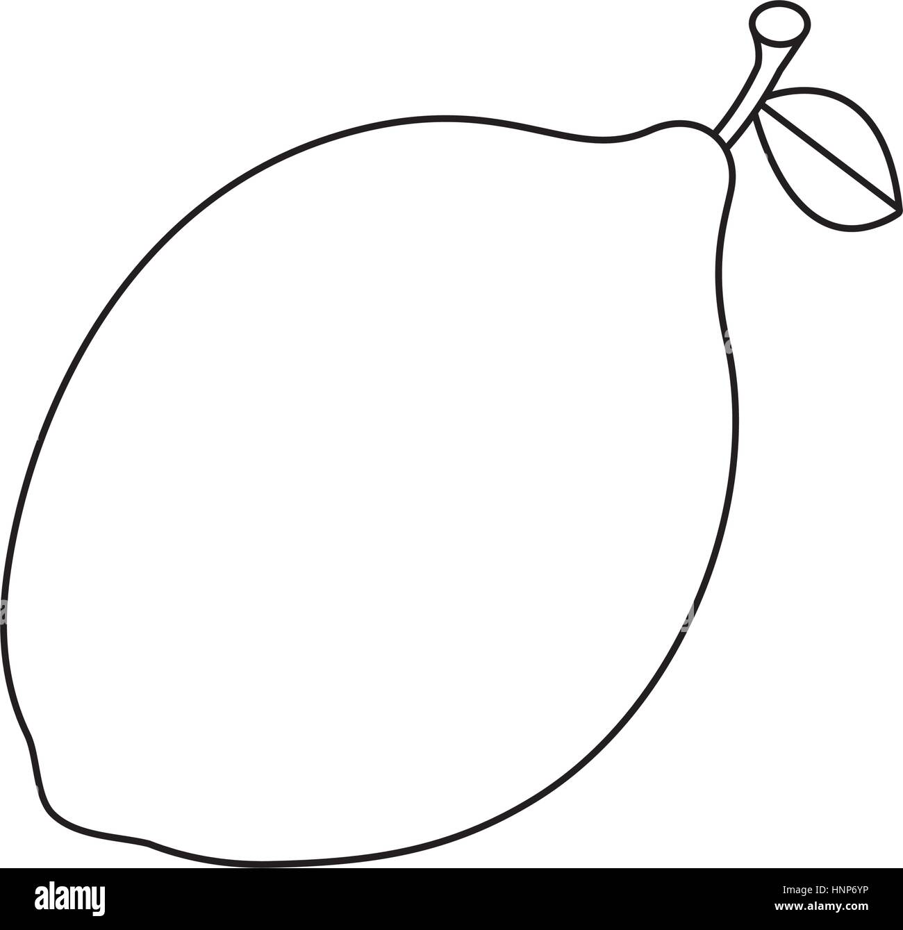 Line drawing fruit Stock Vector Image & Art - Alamy