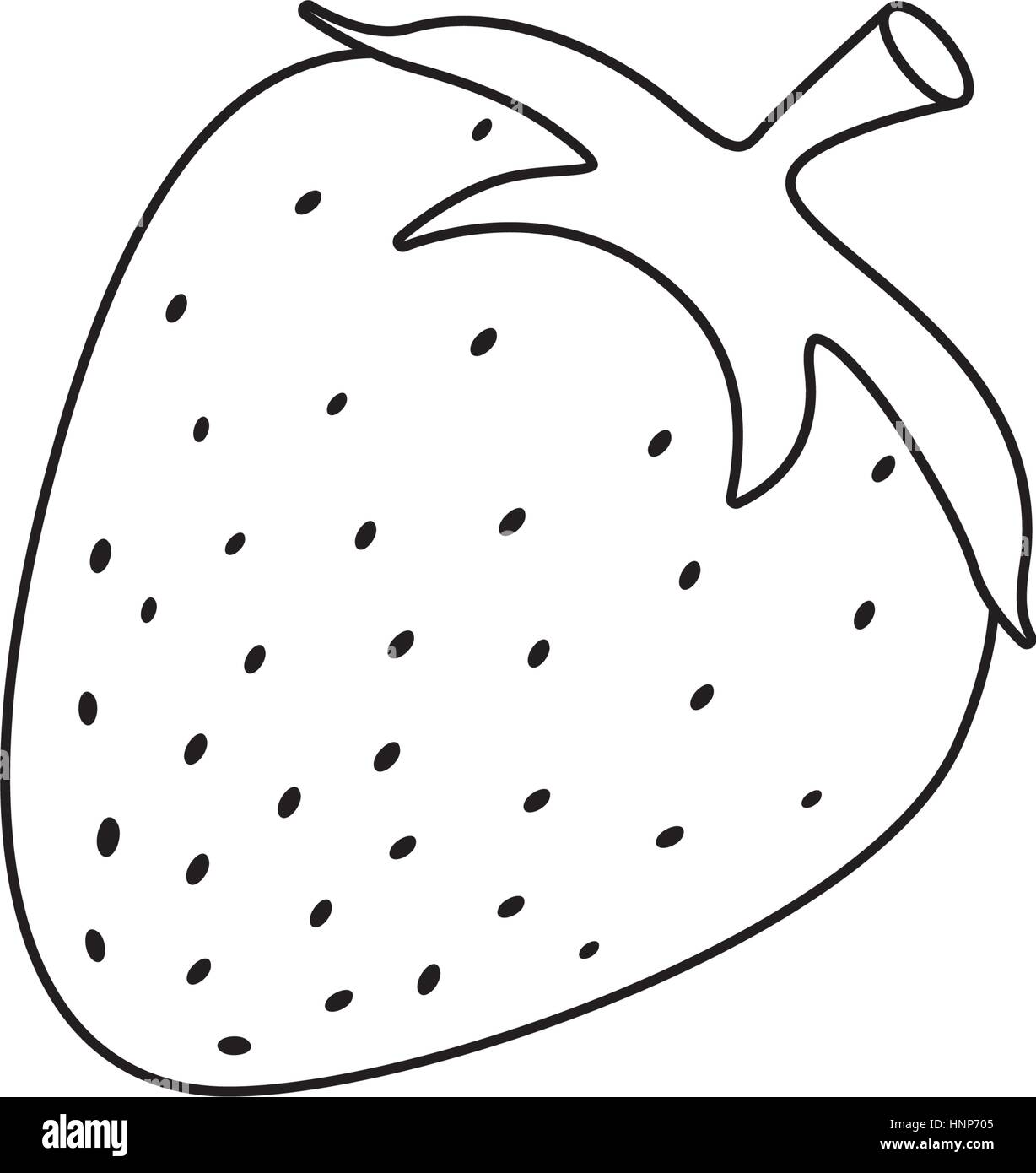 Line drawing fruit Stock Vector Image & Art - Alamy