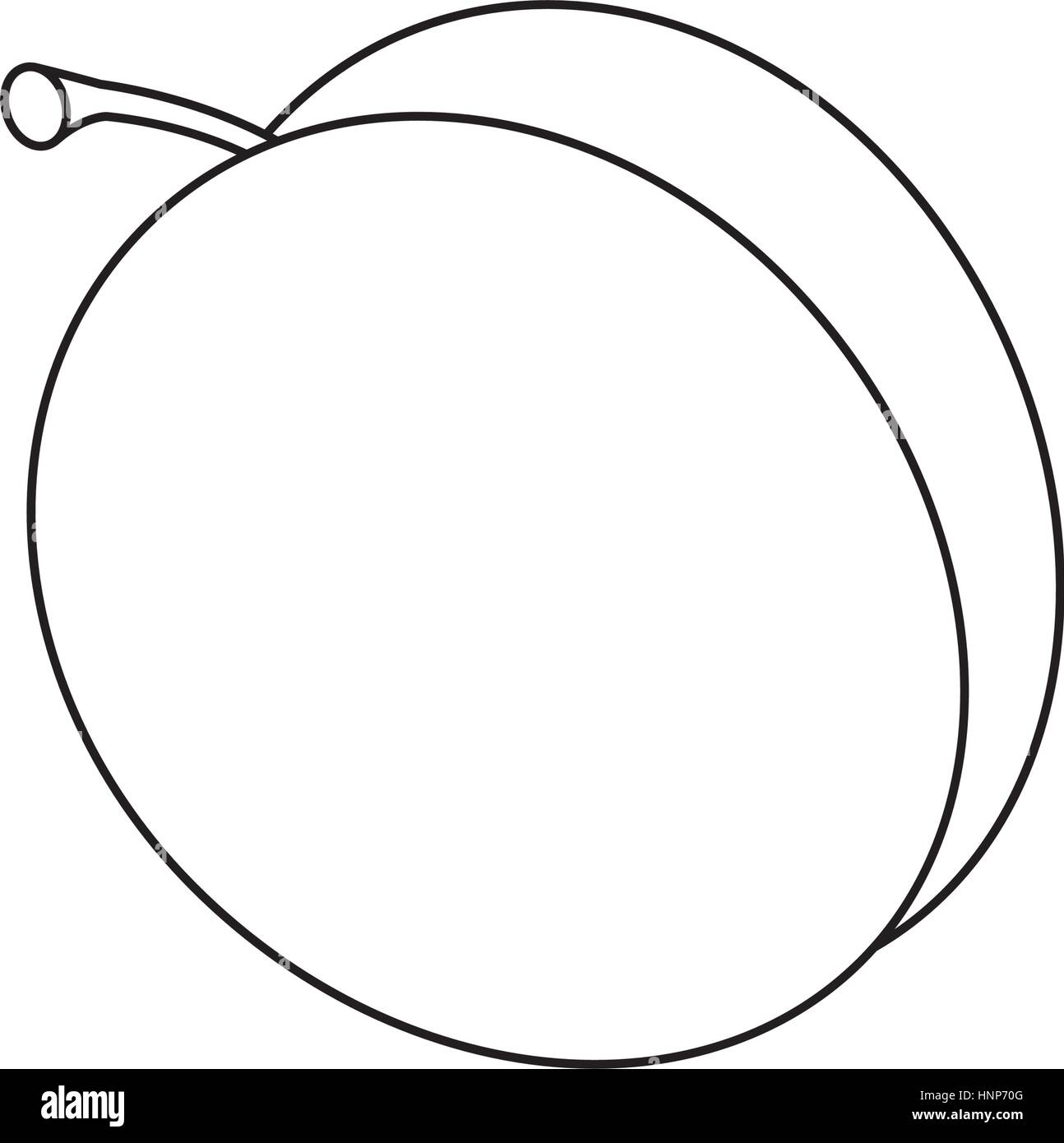 Line drawing fruit Stock Vector Image & Art - Alamy