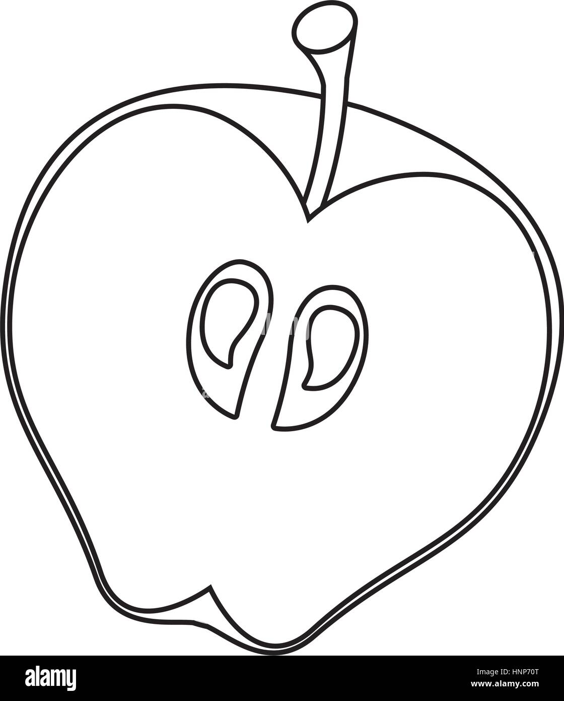 Line drawing fruit Stock Vector Image & Art - Alamy