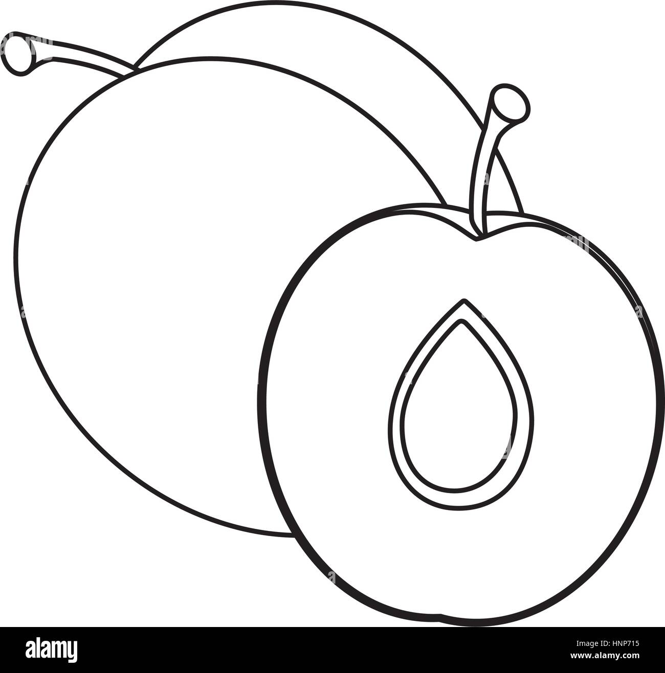 Line drawing fruit Stock Vector Image & Art - Alamy