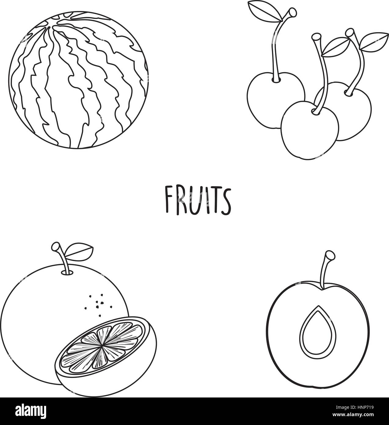 Line drawing fruits Stock Vector Image & Art - Alamy