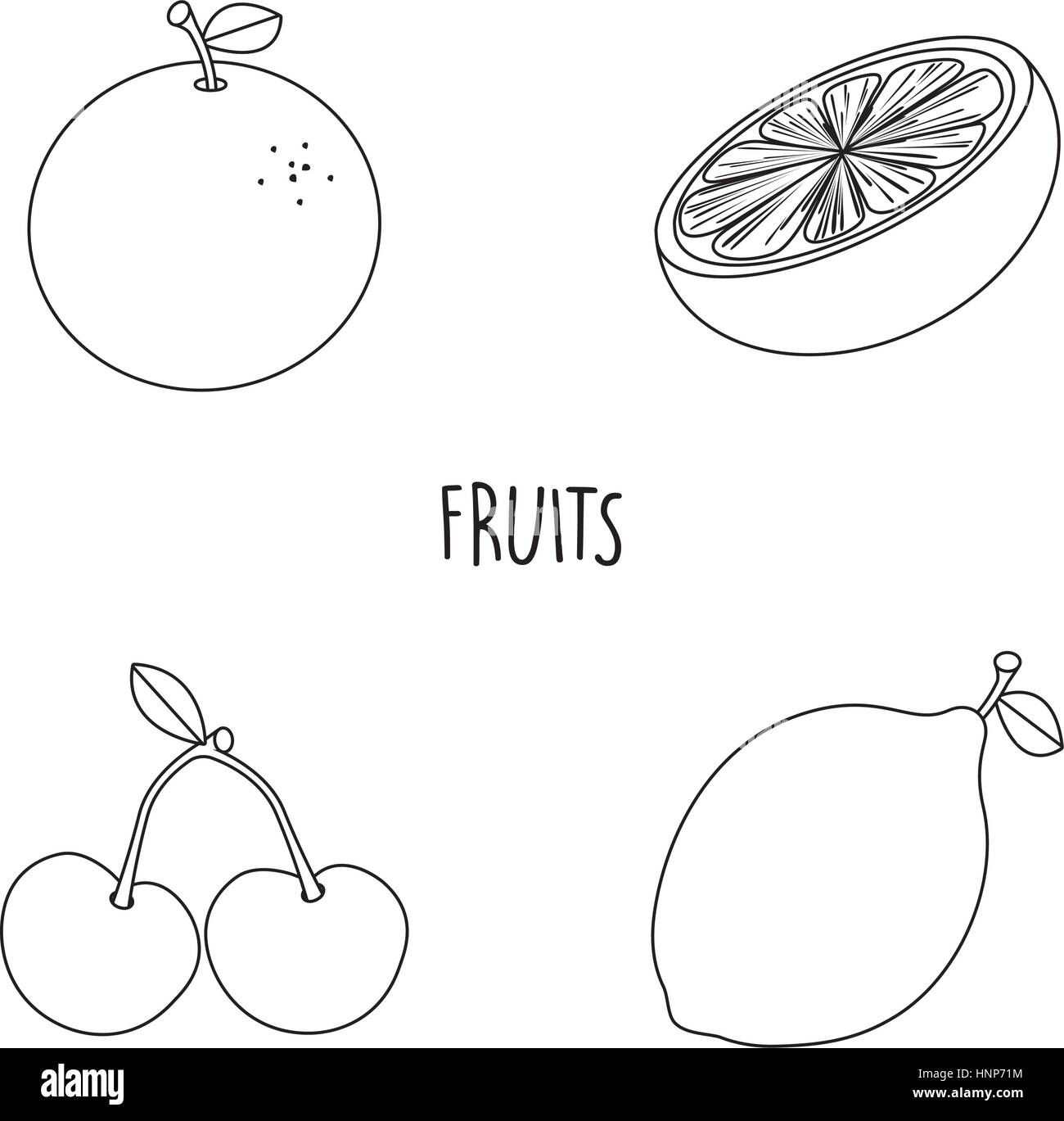 Line drawing fruits Stock Vector Image & Art - Alamy