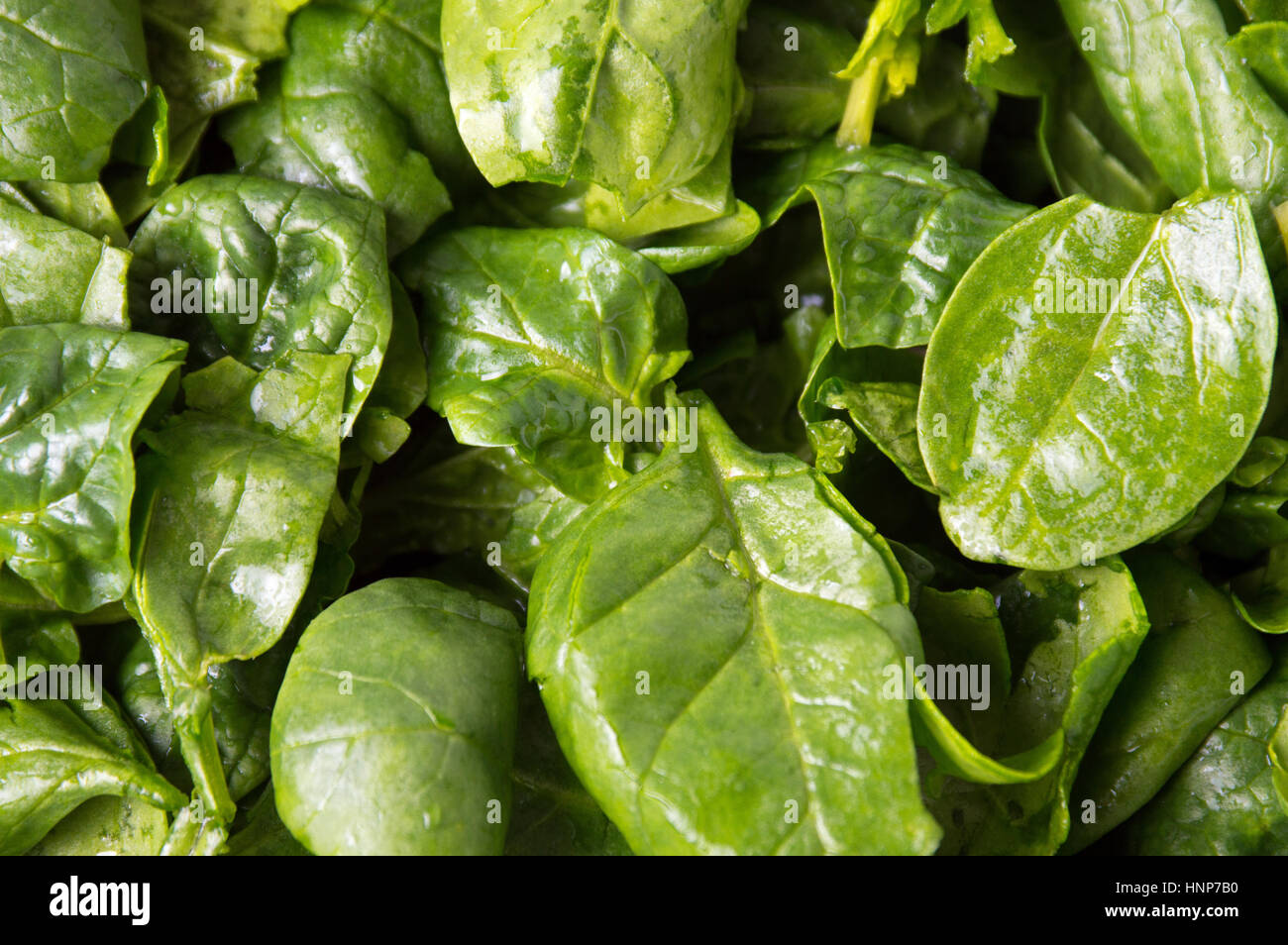 Fresh spinach leaves close up making background Stock Photo - Alamy