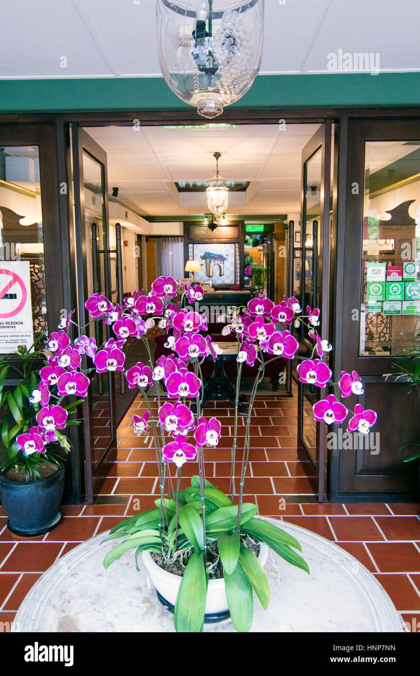 Yang Kang Hotel, Lebuh Chulia, Georgetown, Penang, Malaysia Stock Photo ...