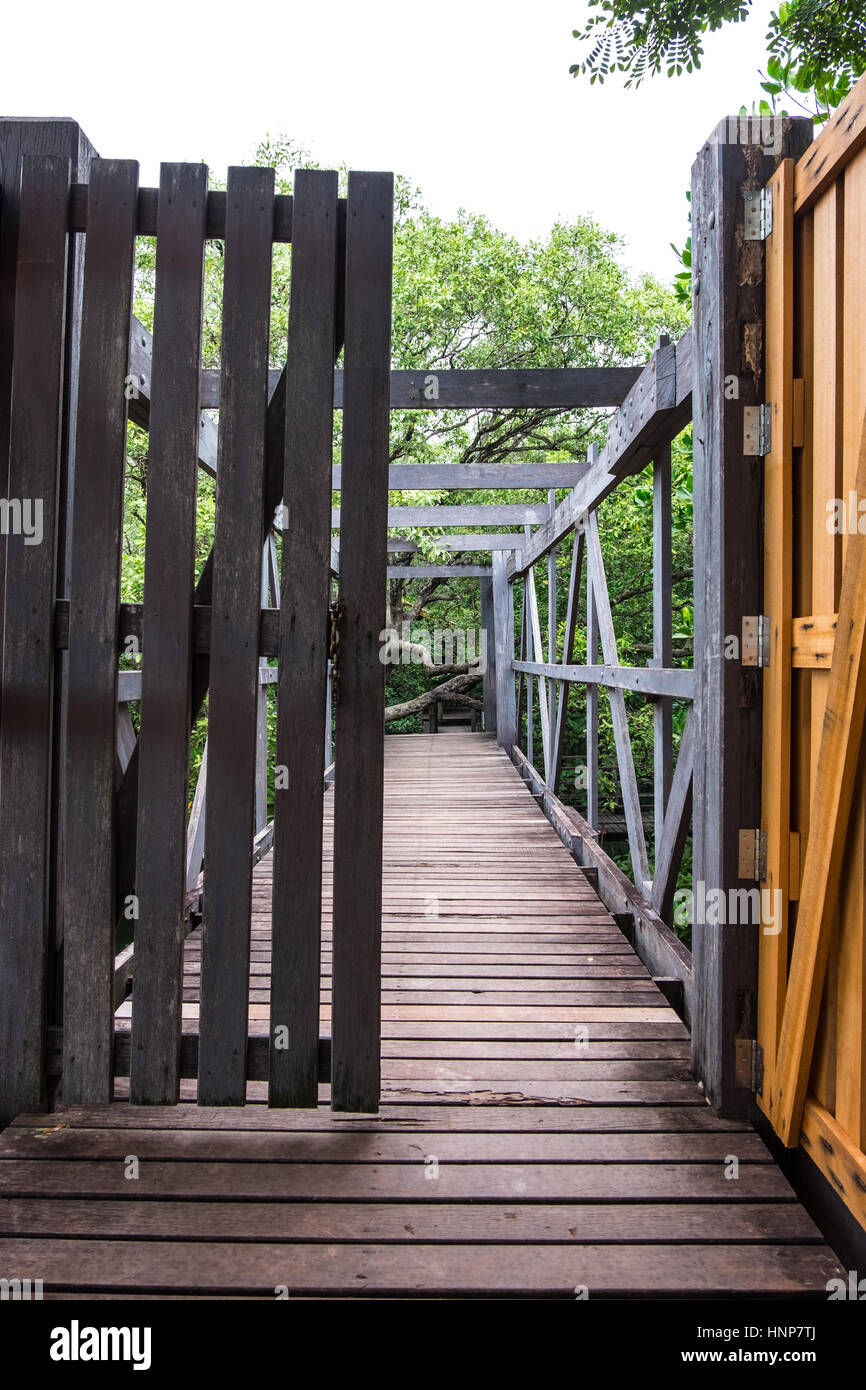 Wooden double door and canal bridge openning on the forest Stock Photo ...