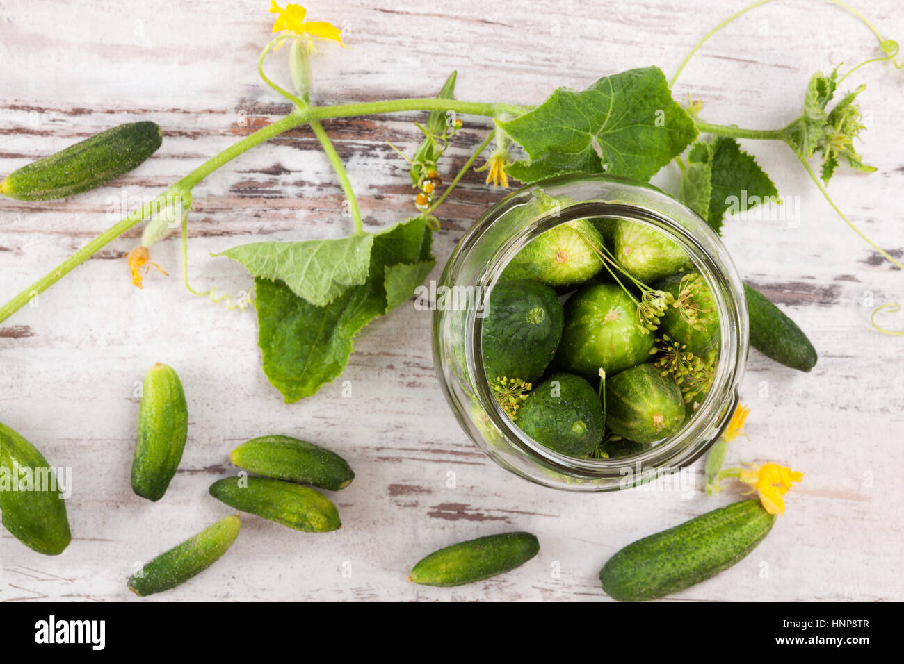 Cucumbers in glass from above. Preserved cucumber, pickles Stock Photo ...