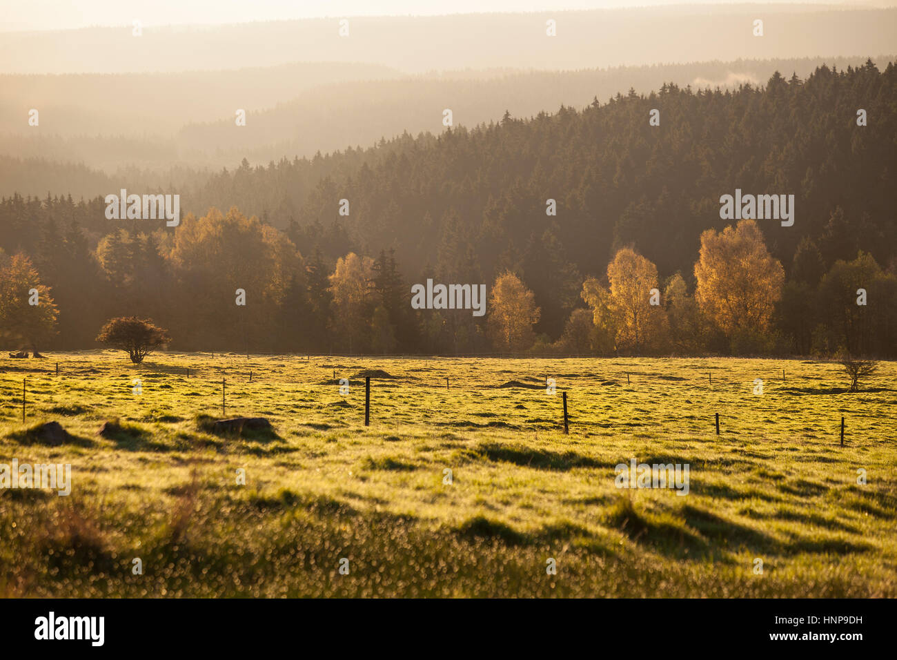 Landscape and nature in the german Harz Stock Photo - Alamy