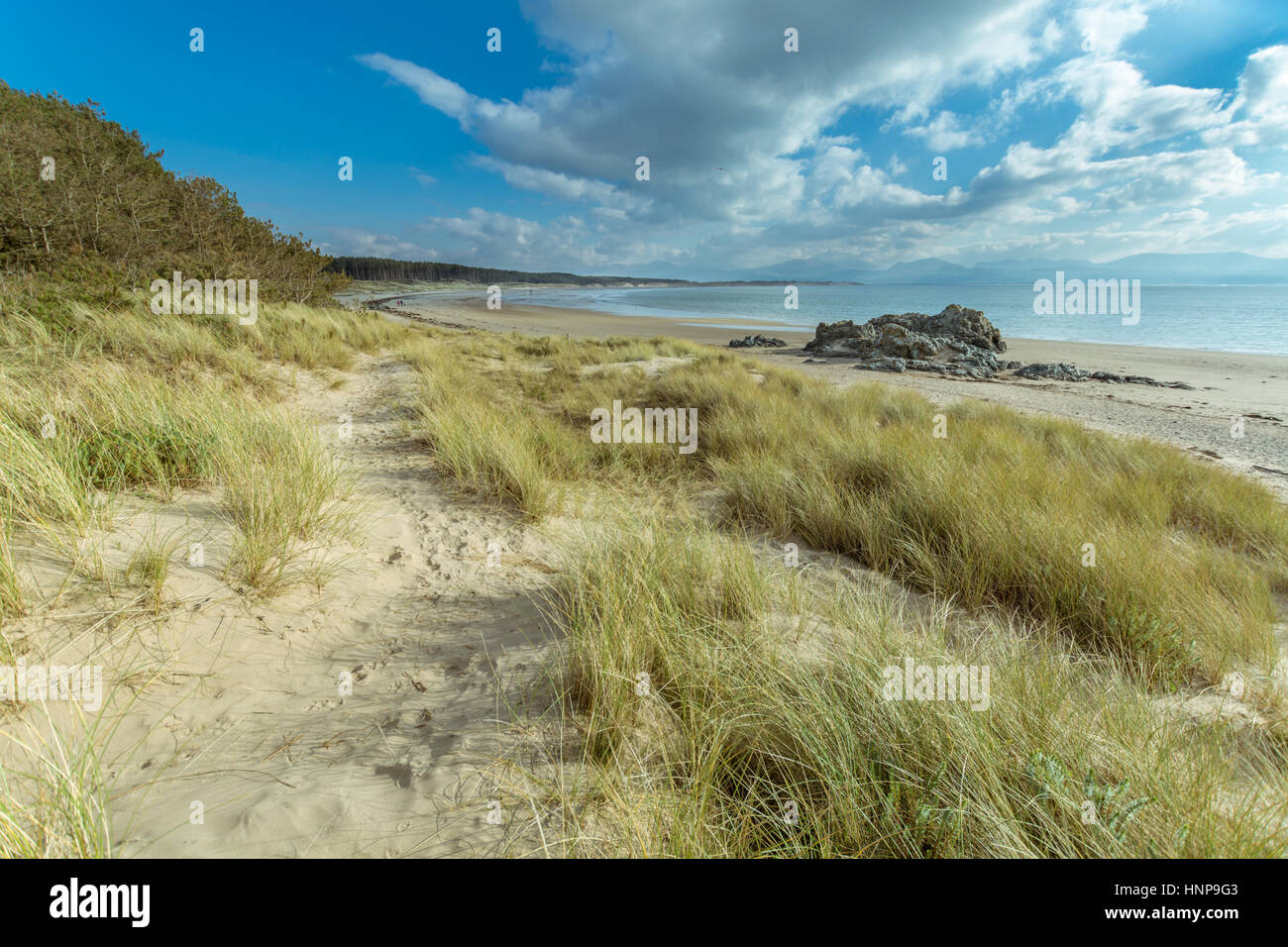View of Newborough beach, Anglesey Stock Photo - Alamy