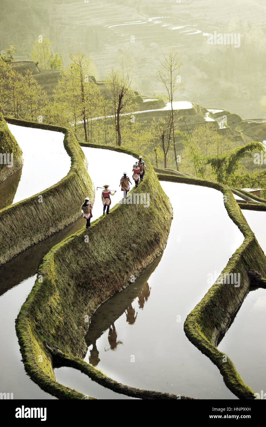 Five women walking over a mountain rice field in China Stock Photo - Alamy