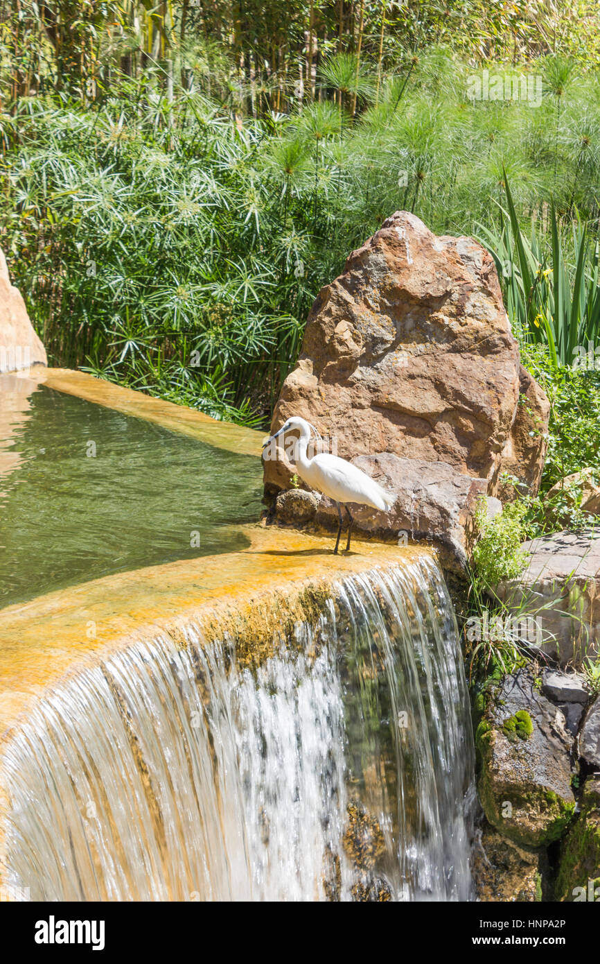 Parque de la paloma hi-res stock photography and images - Alamy