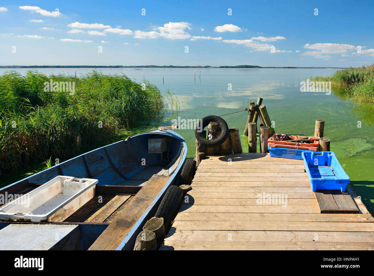 Fish on dock hi-res stock photography and images - Alamy
