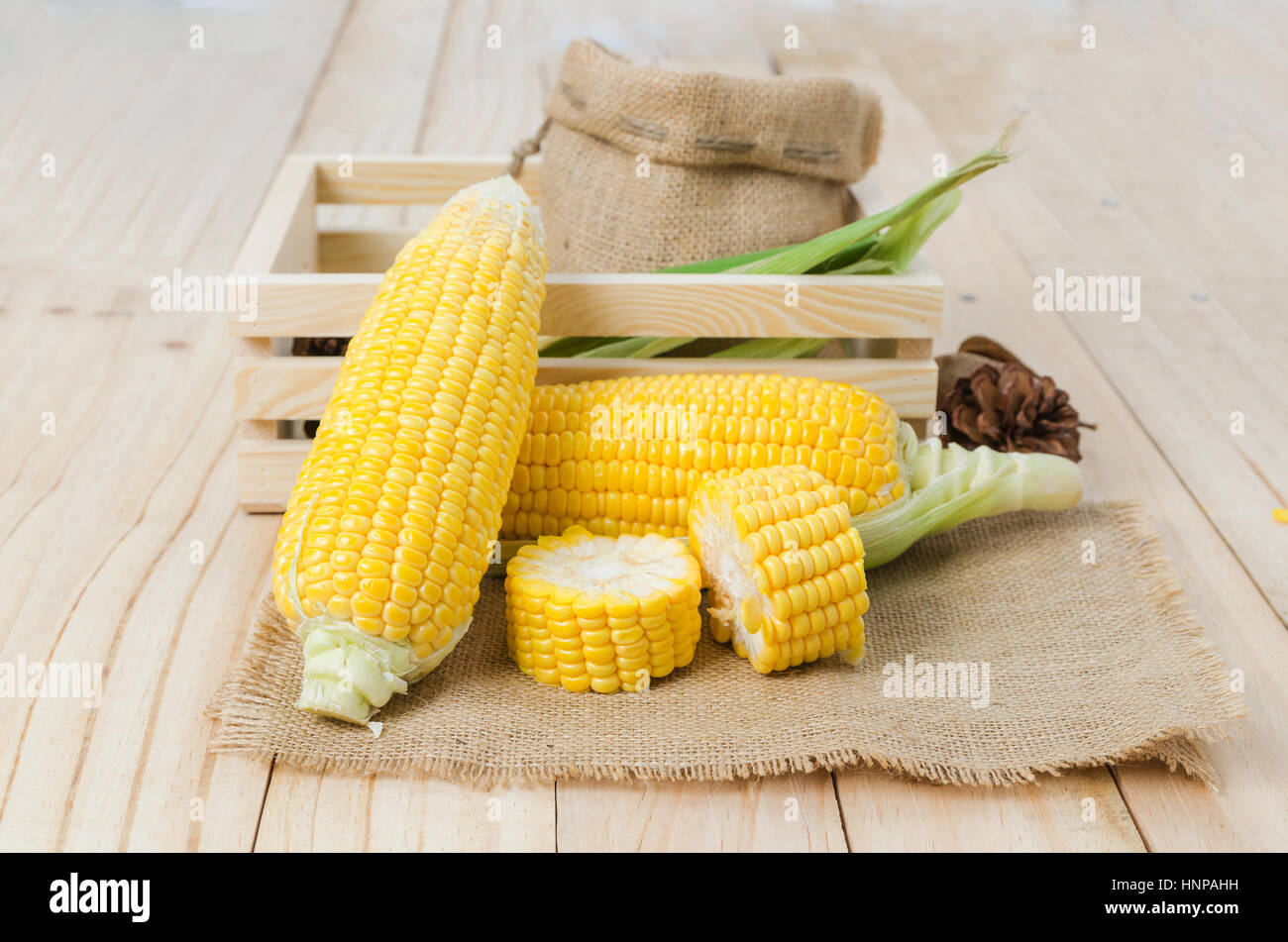 Close up shot fresh nature corn Stock Photo - Alamy