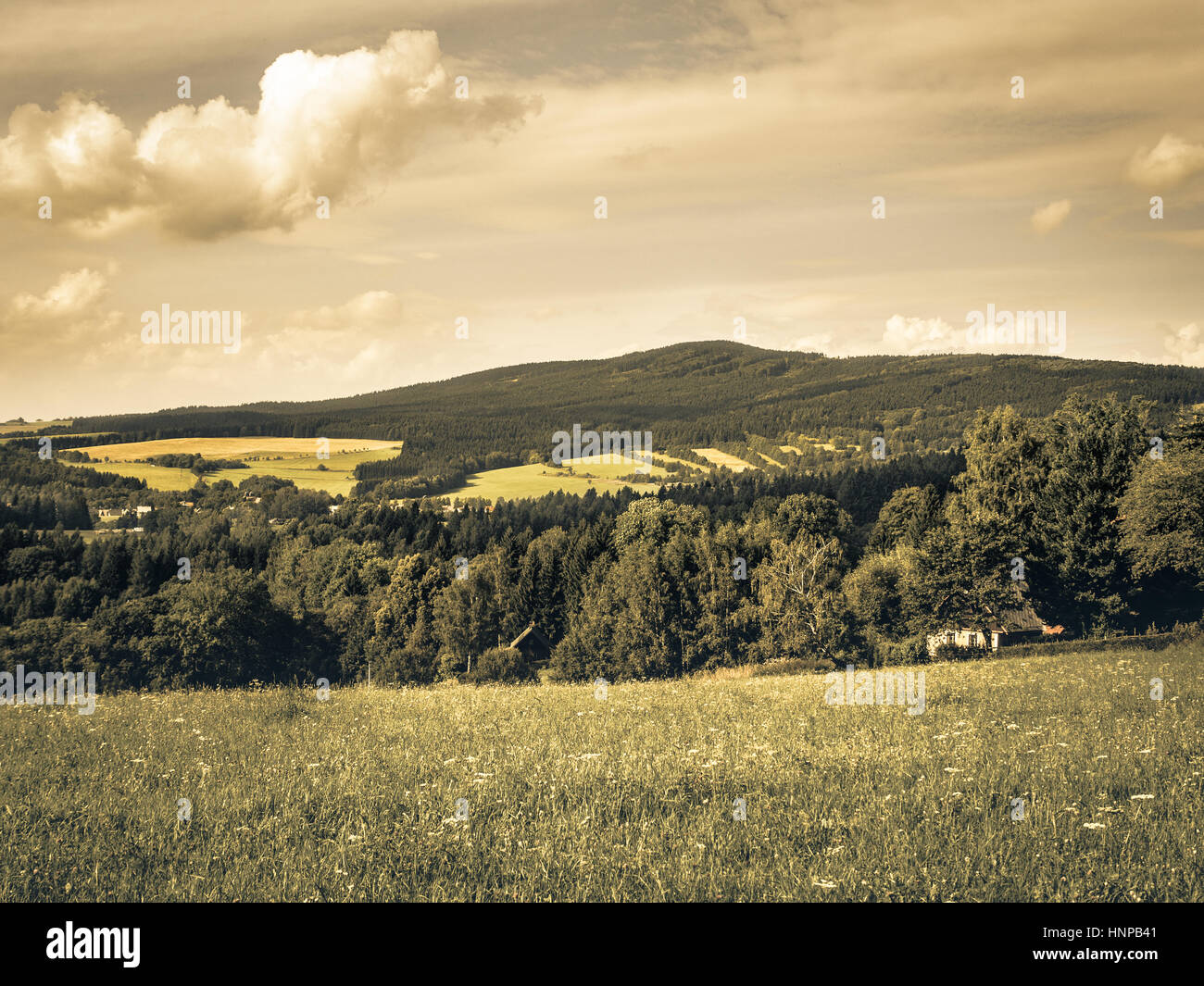 European countryside in summer, aged photo Stock Photo - Alamy