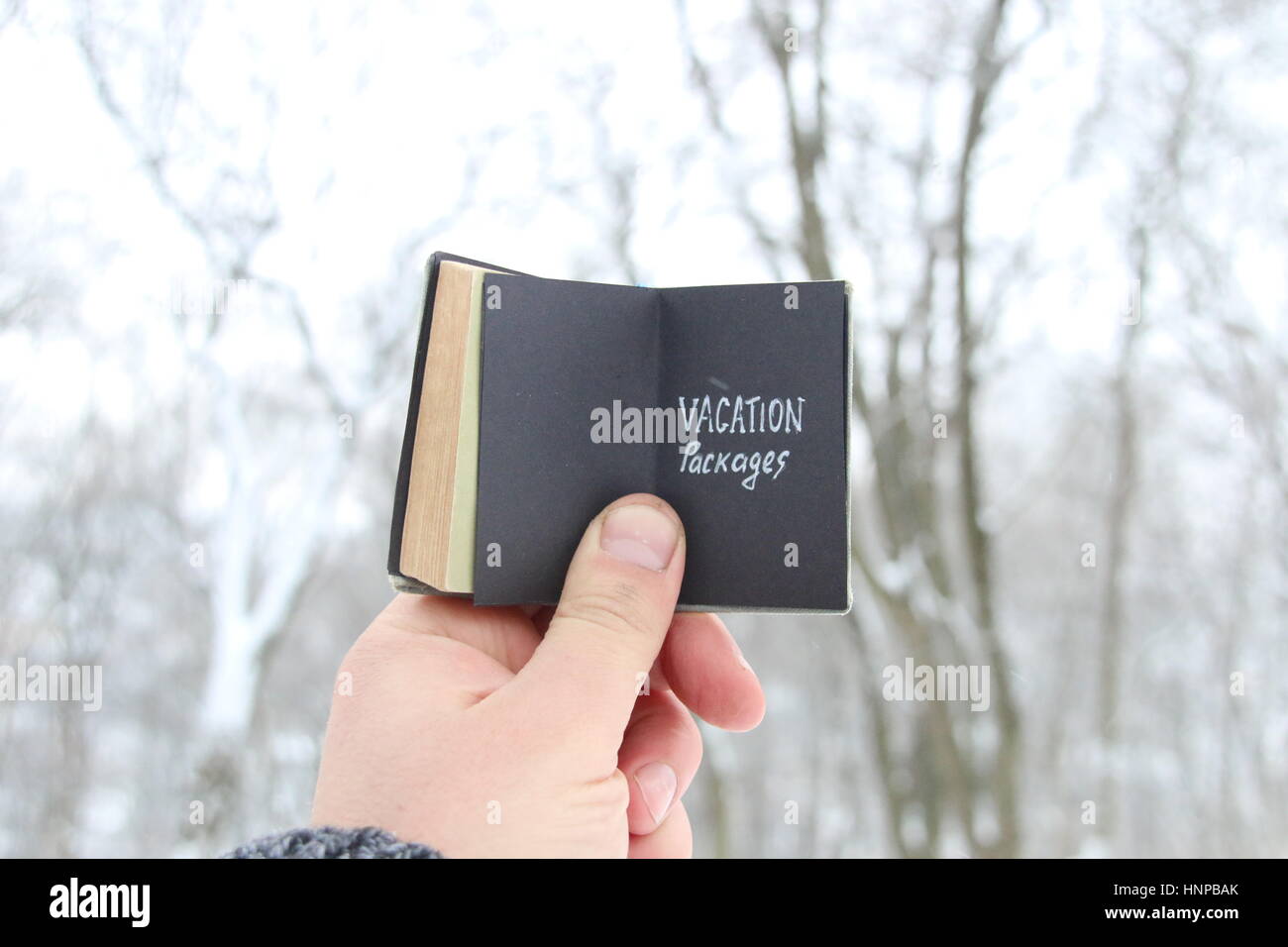 Vacation Packages. Vintage book with inscription Stock Photo - Alamy