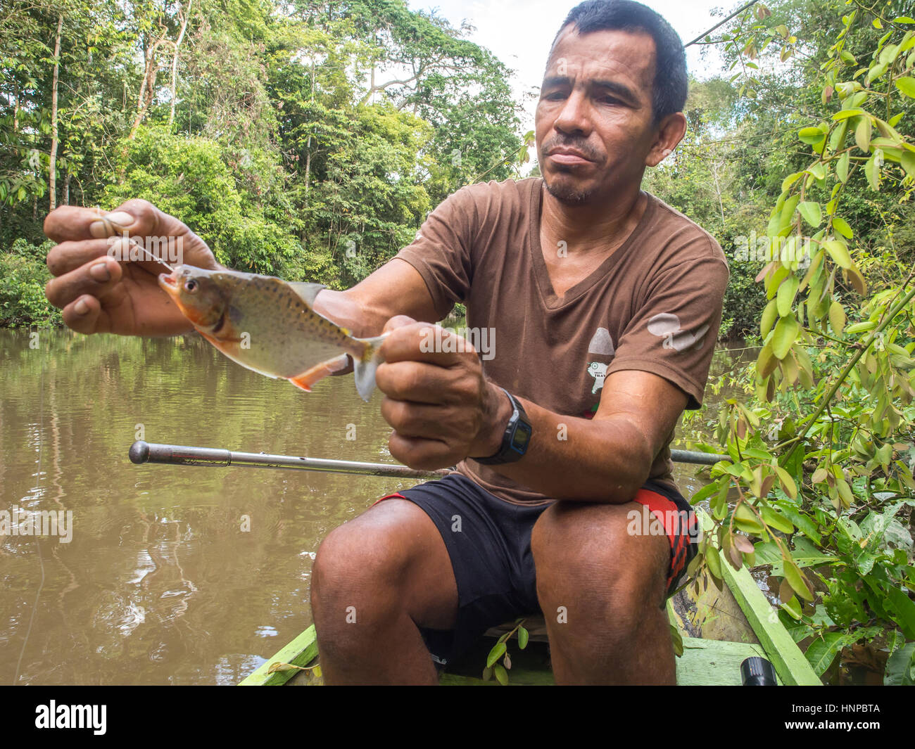Palmari, Brazil - May 06, 2016: Resident of a Amazon jungle fishing the ...