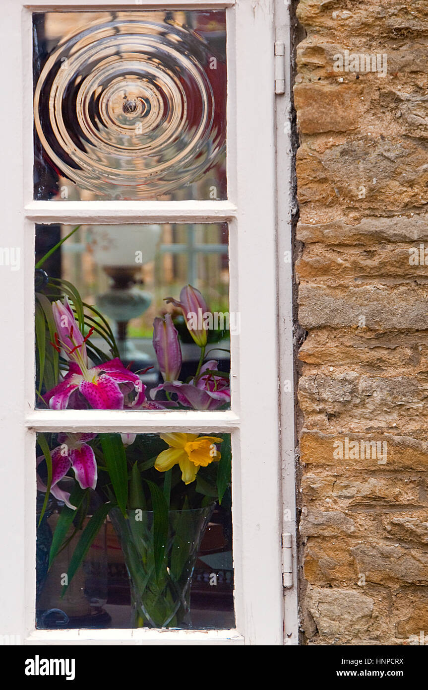 Flower Dispal in a window Stock Photo - Alamy