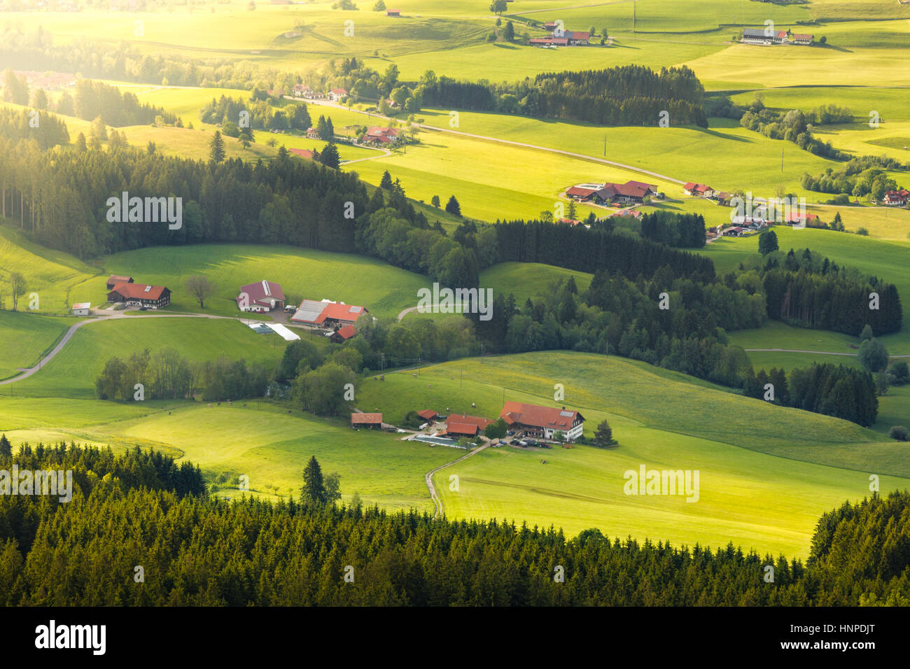 Lovely rural countryside in beautiful sunlight. Pasture landscape with ...