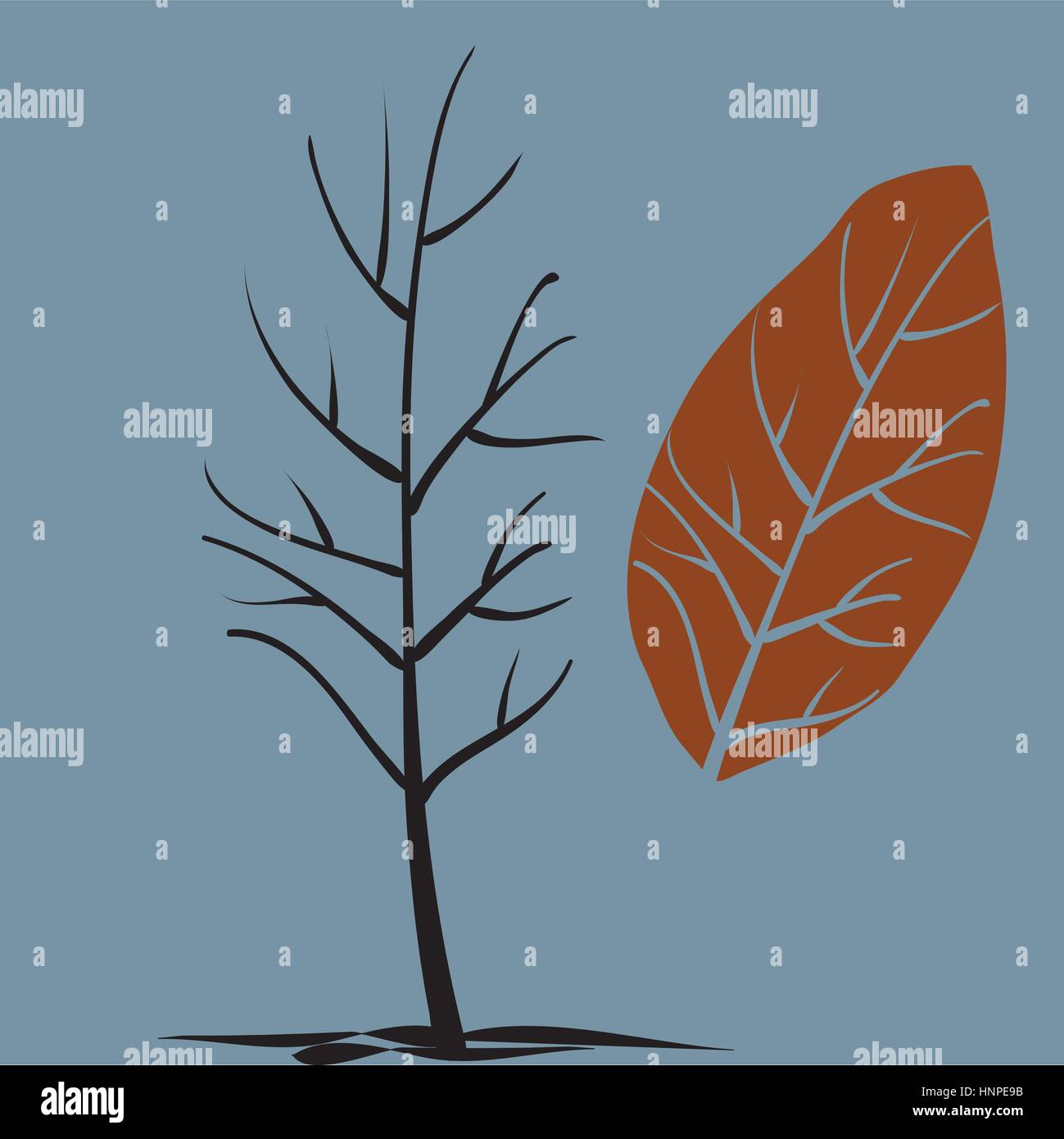 Season tree without foliage Stock Vector Images - Alamy
