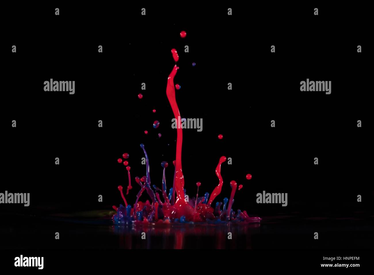 Abstract sculptures of colorful splashes of paint. Dancing liquid on a ...