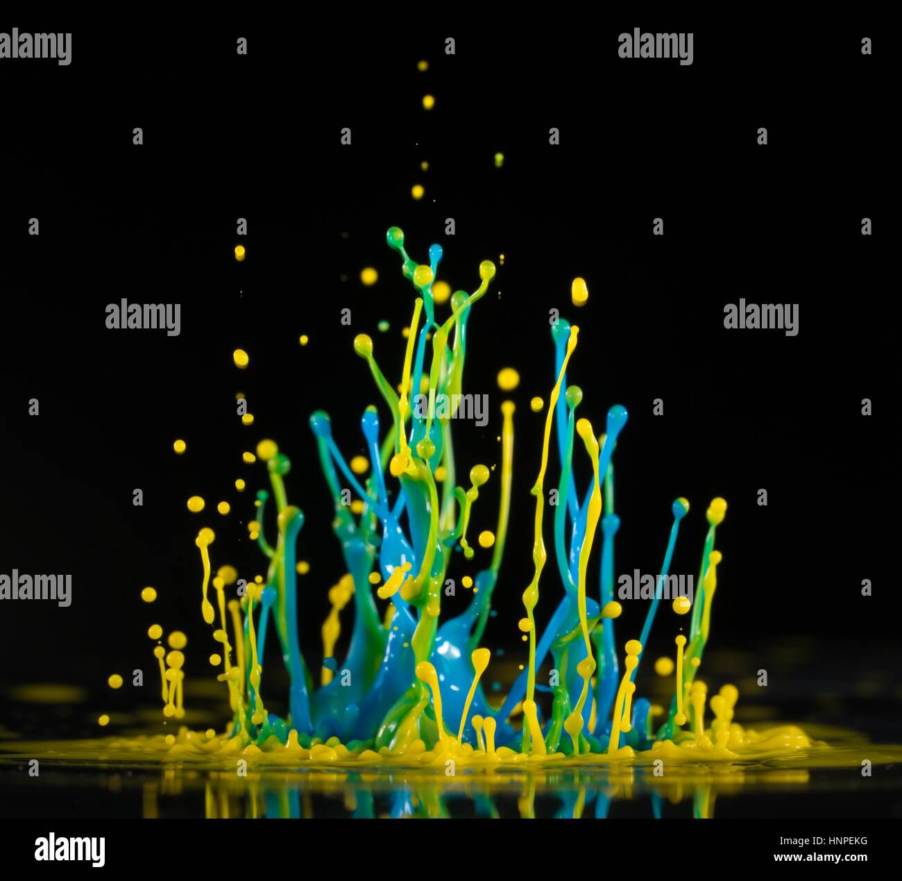 Abstract sculptures of colorful splashes of paint. Dancing liquid on a ...