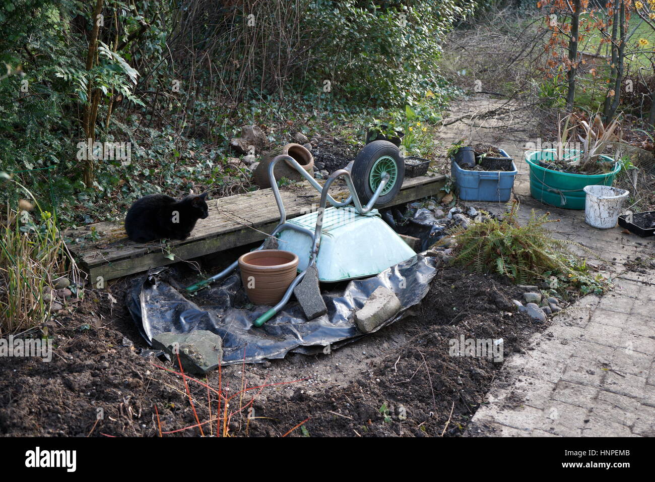 Suburban cat hi-res stock photography and images - Alamy