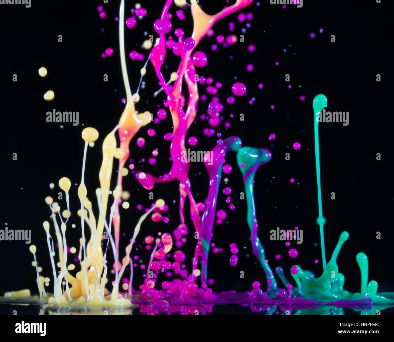 Abstract sculptures of colorful splashes of paint. Dancing liquid on a ...