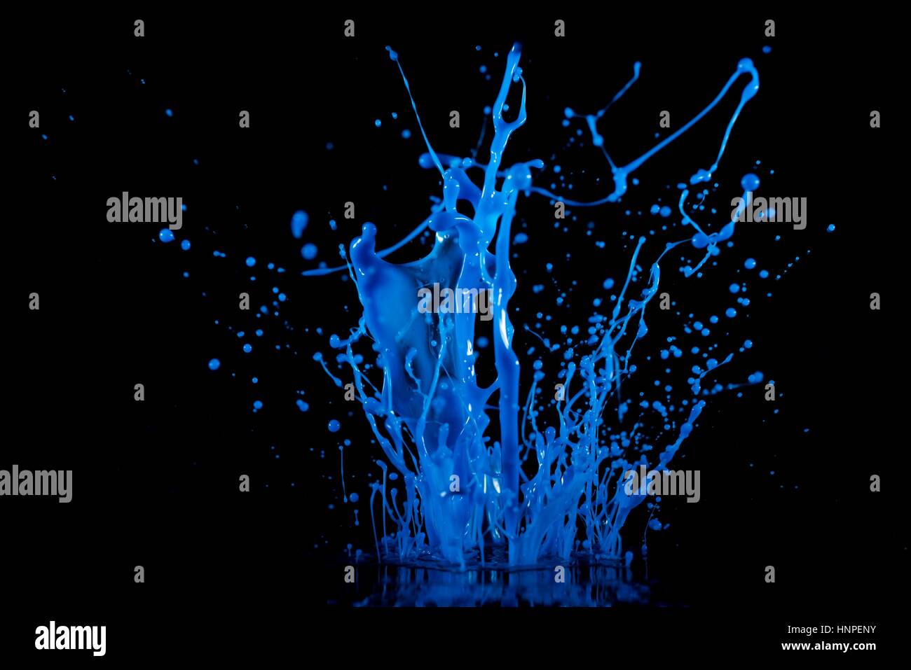 Abstract sculptures of colorful splashes of paint. Dancing liquid on a ...