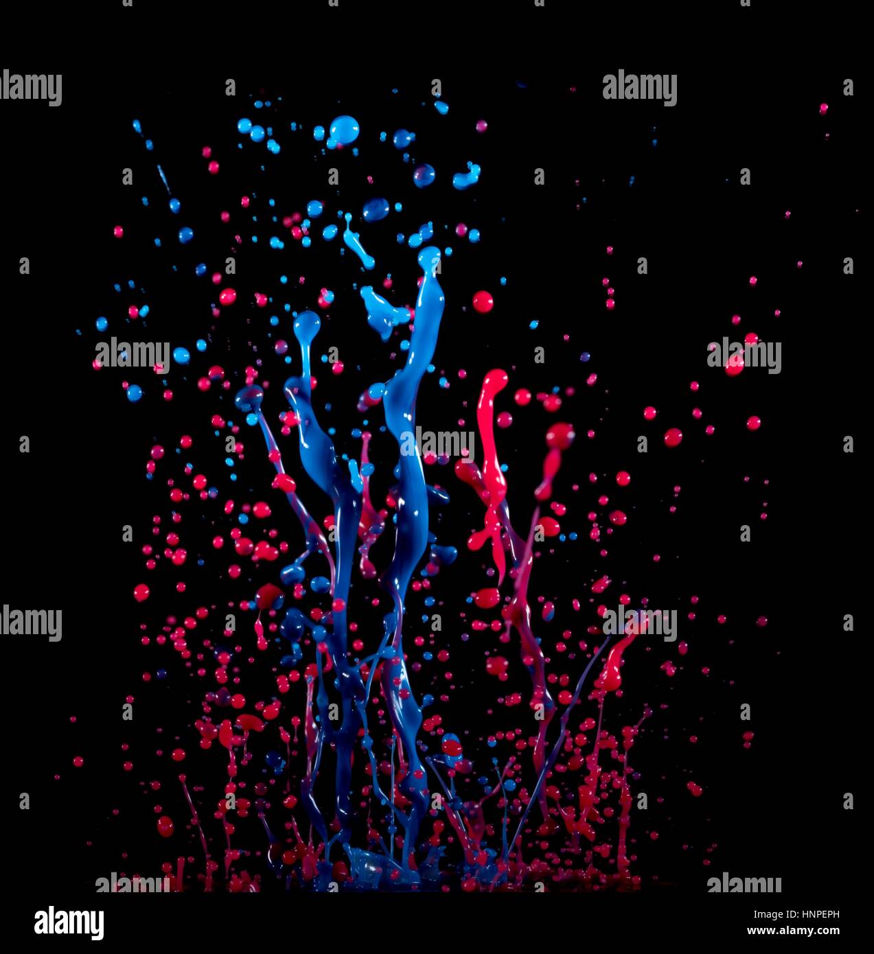 Abstract sculptures of colorful splashes of paint. Dancing liquid on a ...