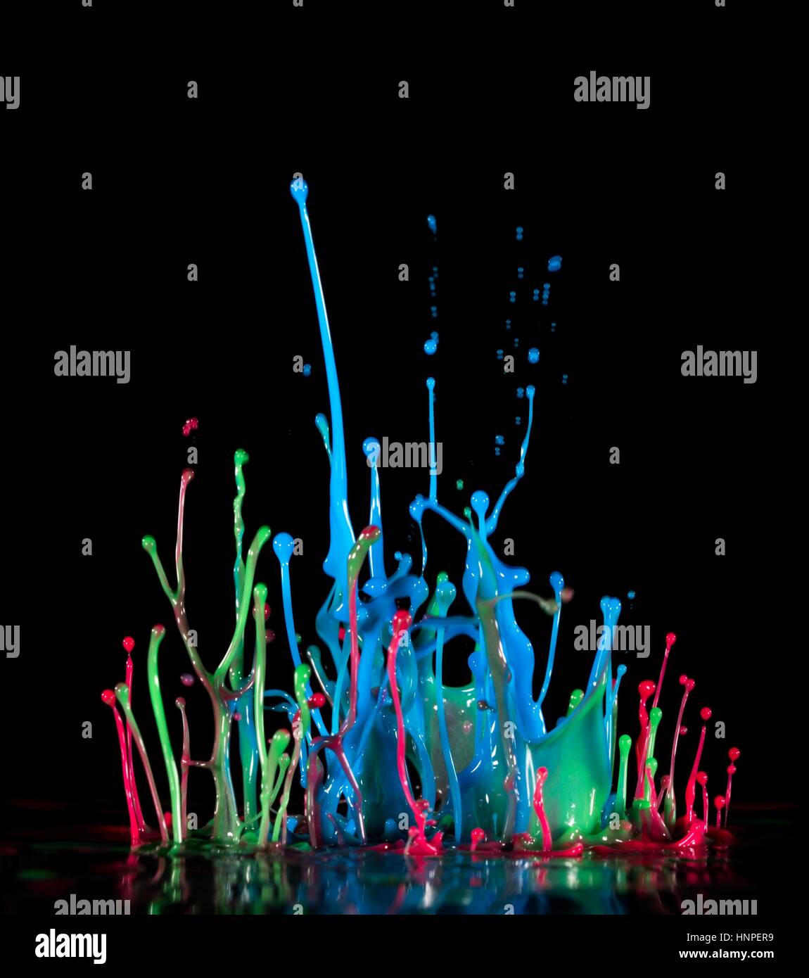 Abstract sculptures of colorful splashes of paint. Dancing liquid on a ...