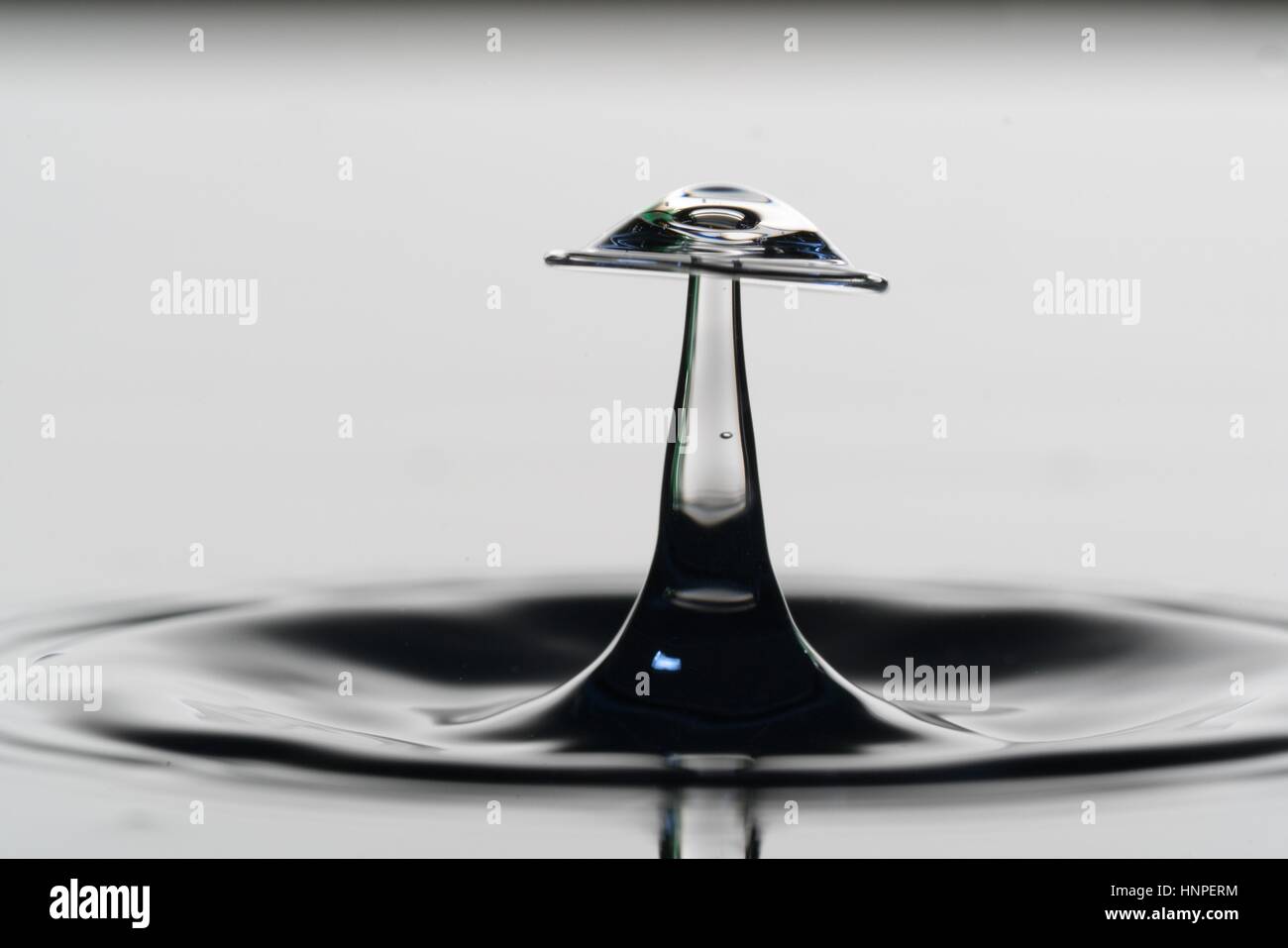 Water drop falling Stock Photo - Alamy