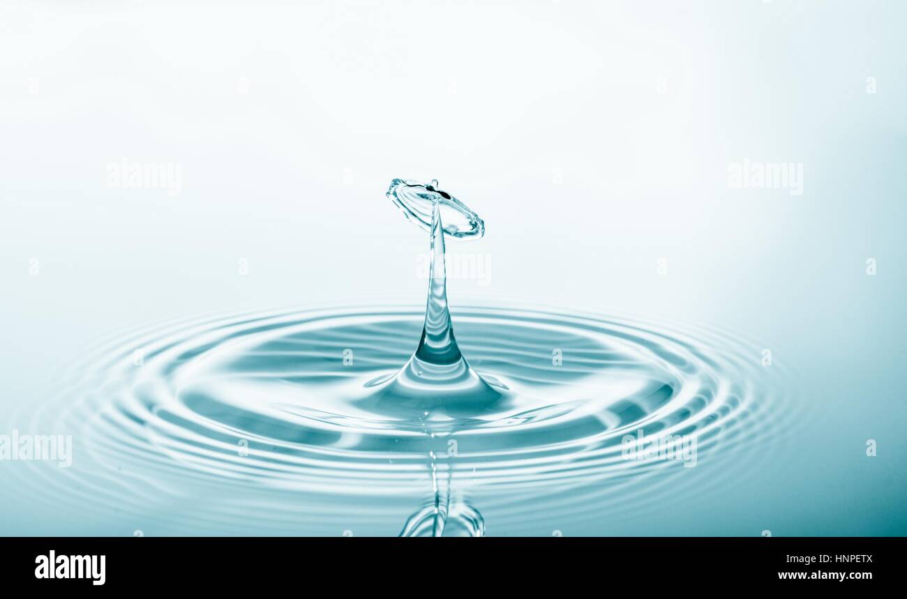 Water drop falling and drips on water mirror. Water drop splash and ...