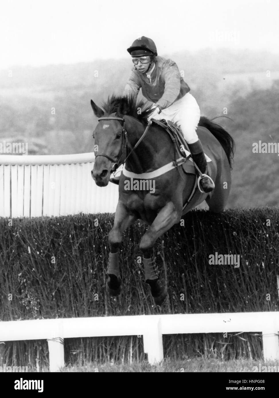 Princess anne horse hi-res stock photography and images - Alamy