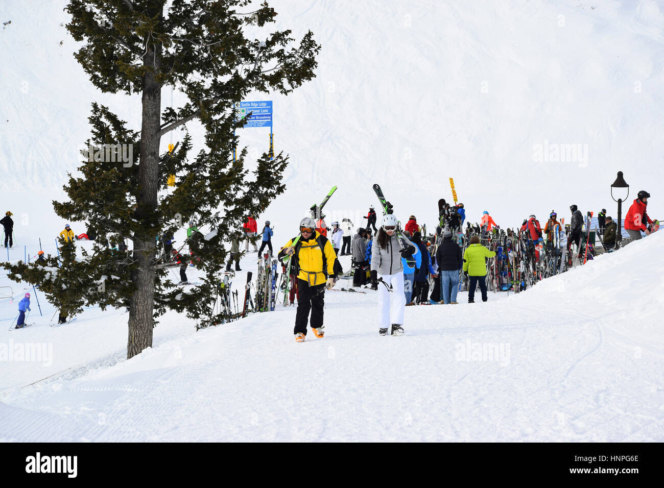 Skiers walking uphill with white background Stock Photo - Alamy