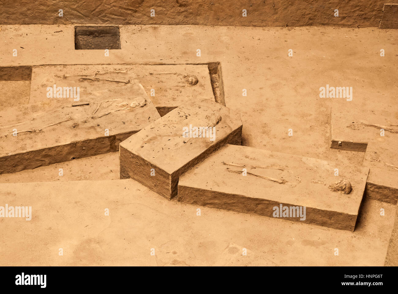 Archaeology Human Bones