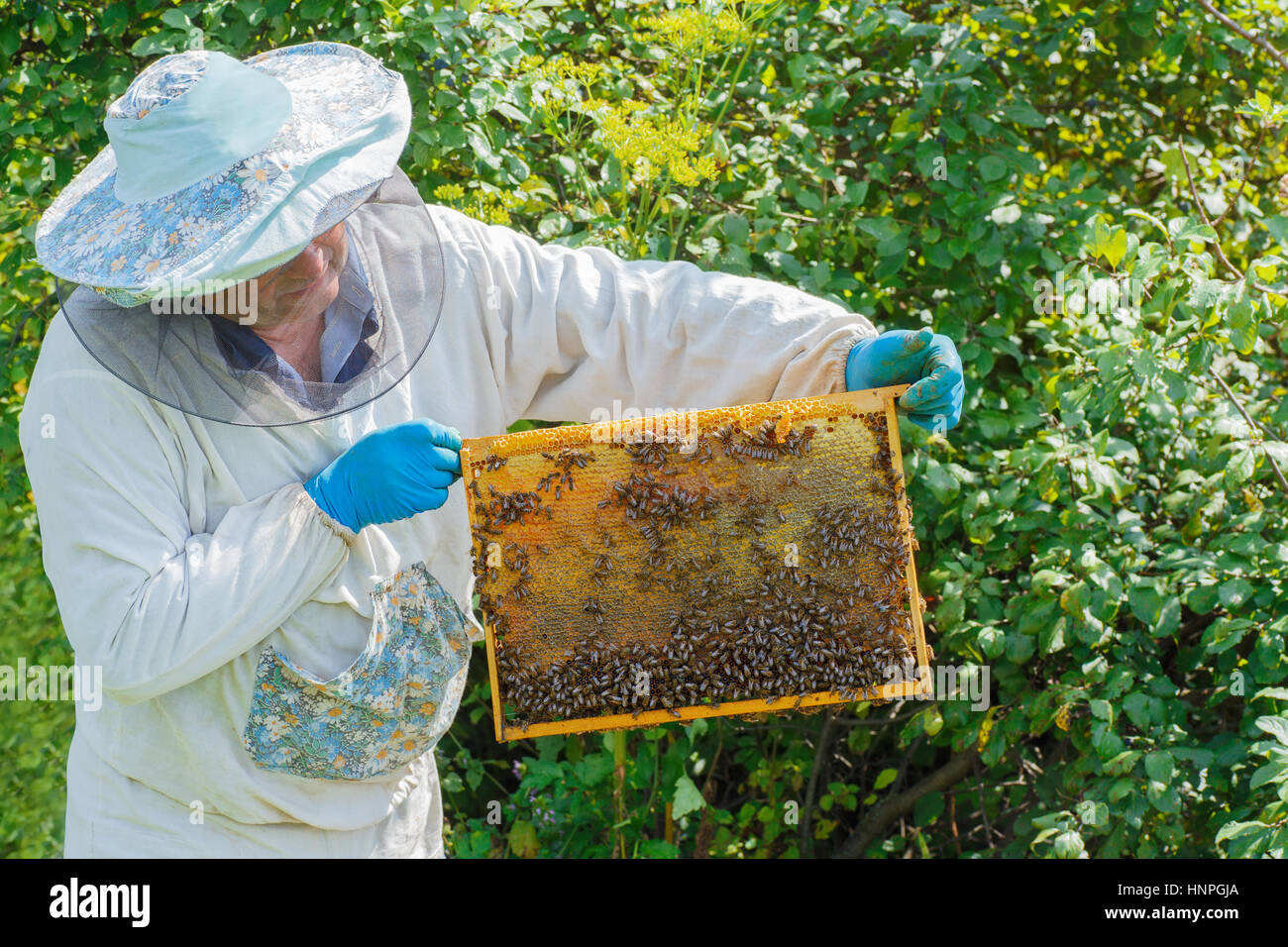 Beekeeper man hi-res stock photography and images - Alamy
