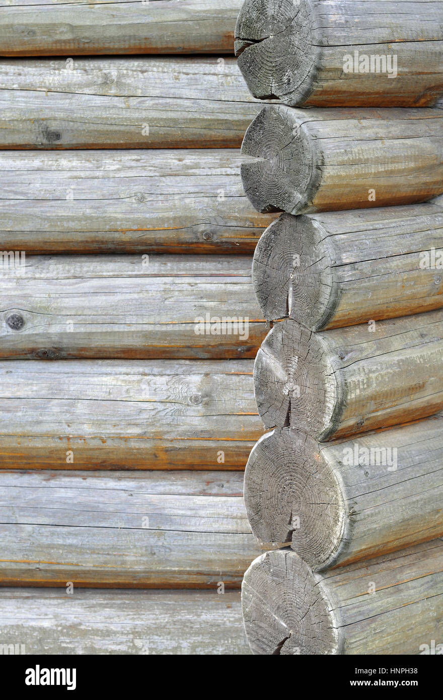 Wooden wall from logs of very old house, vertical composition Stock ...