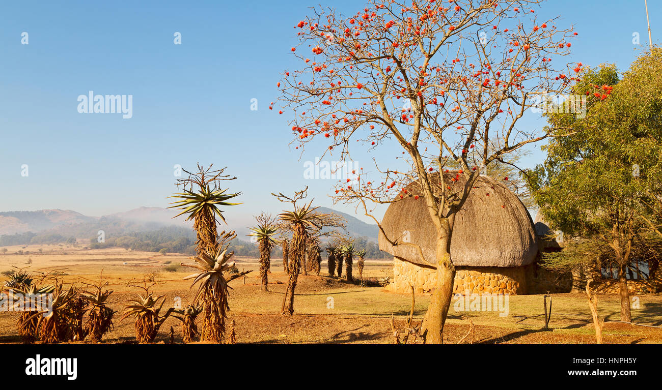 blur in swaziland mlilwane wildlife nature reserve mountain and tree ...