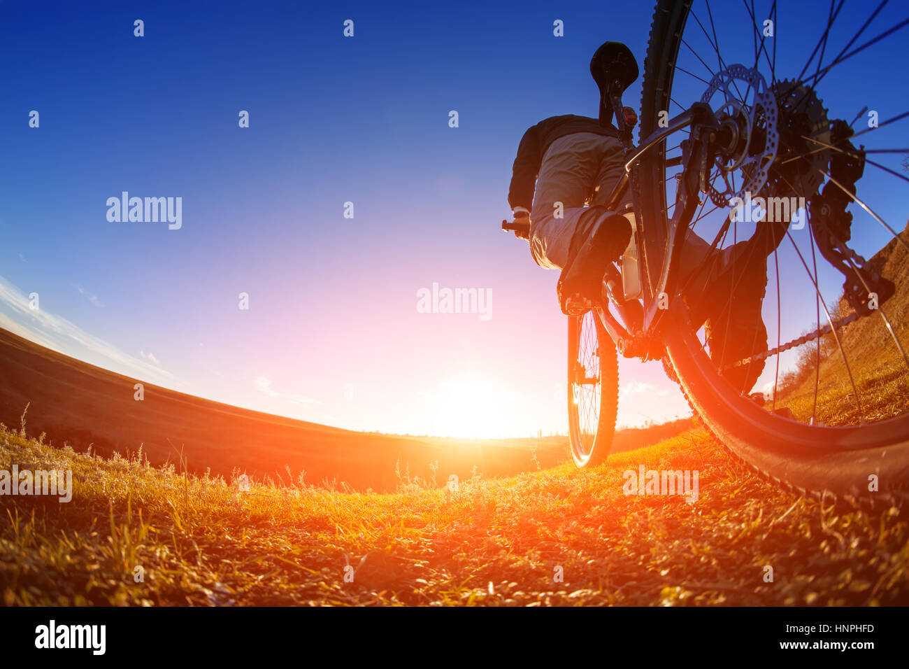 low angle view of cyclist standing with mountain bike on trail at ...