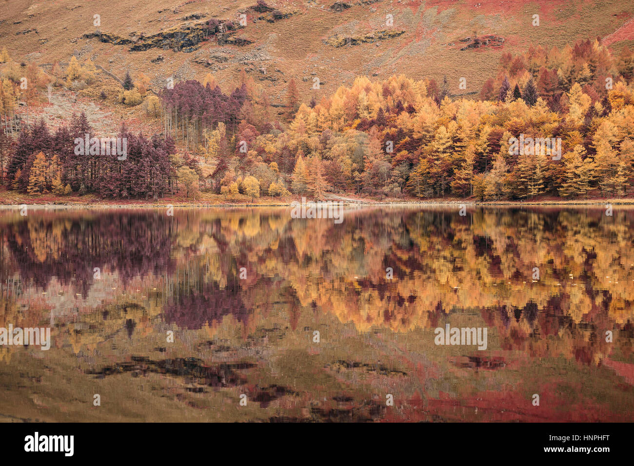 Stunning Autumn Fall landscape image of Lake Buttermere in Lake ...