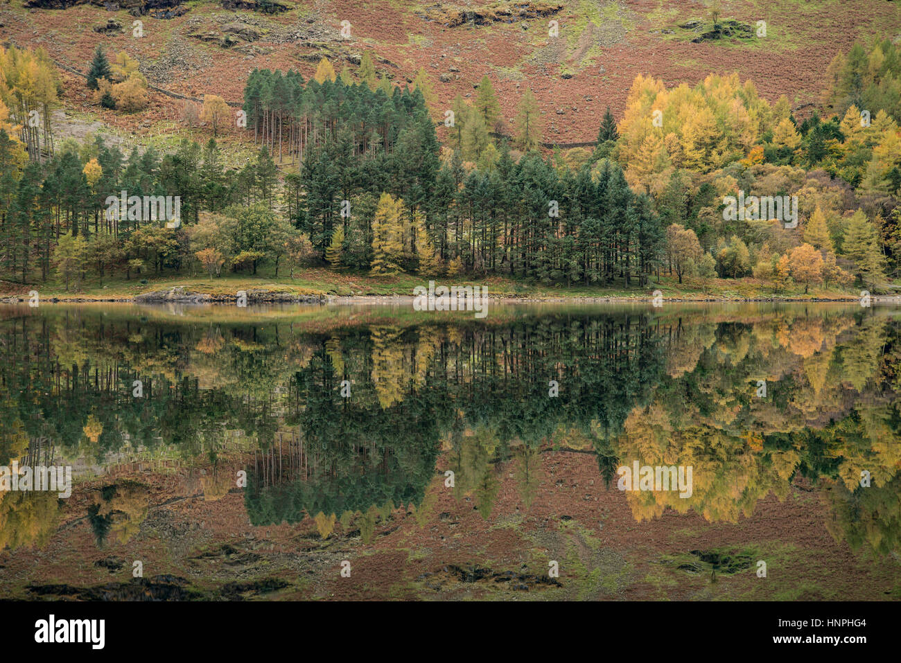Stunning Autumn Fall landscape image of Lake Buttermere in Lake ...
