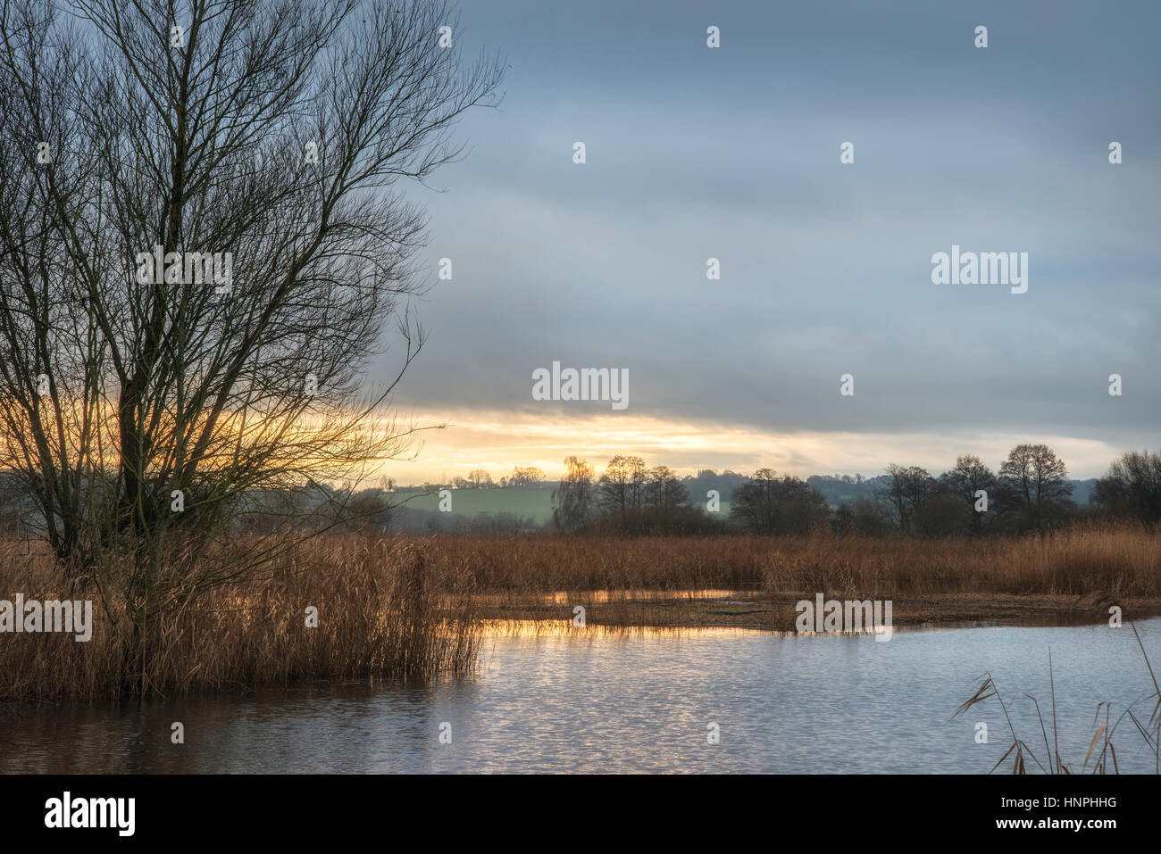 Beautiful Winter sunset over wetlands lake landscape Stock Photo - Alamy