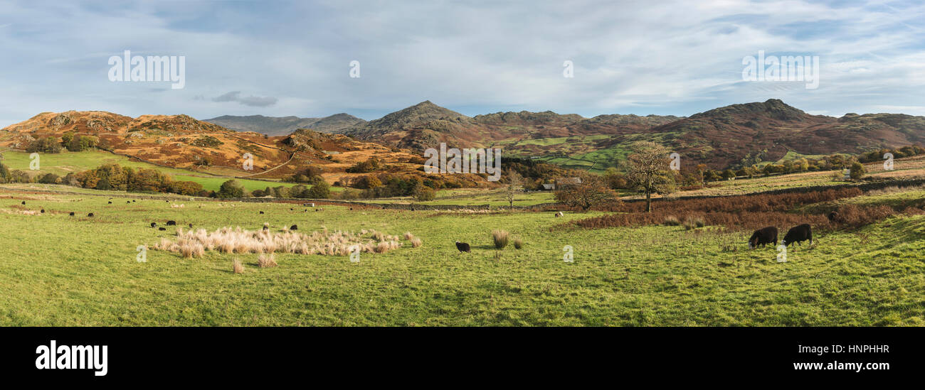 Beautiful Autumn Fall landscape image of wide countryside in Lake ...