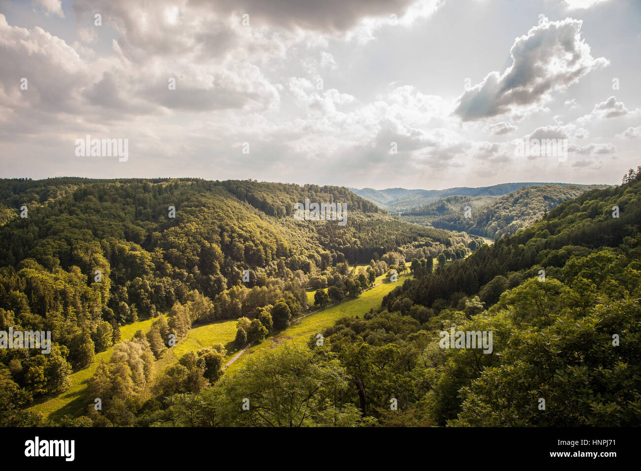 Landscape and nature in the german Harz Stock Photo - Alamy