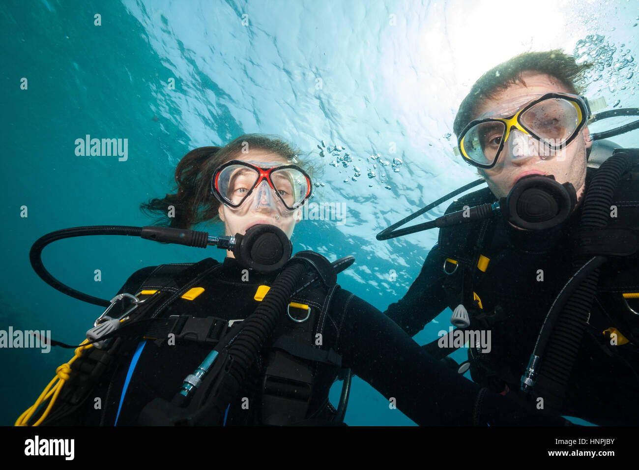 Couple of scuba divers looking at camera, selfie portrait Stock Photo ...