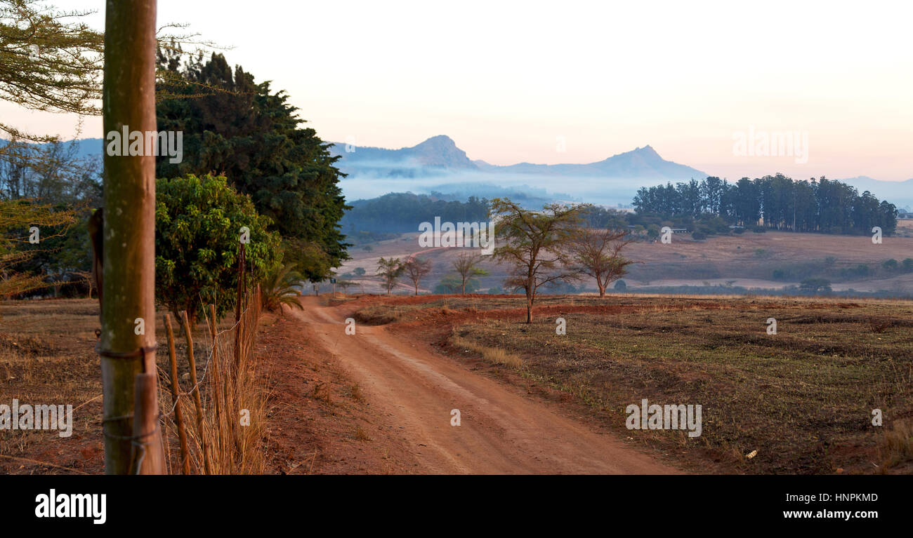 blur in swaziland mlilwane wildlife nature reserve mountain and tree ...