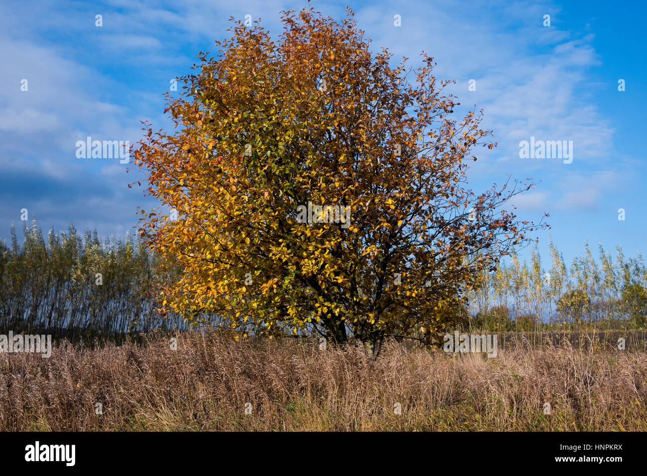 Straight angle hi-res stock photography and images - Alamy