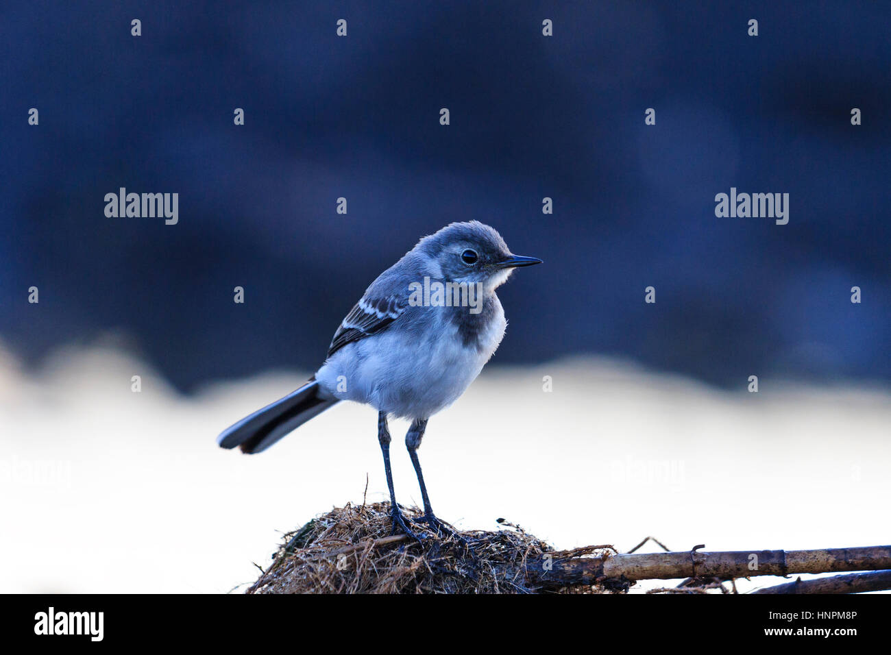 Beautifulbirdview hi-res stock photography and images - Alamy