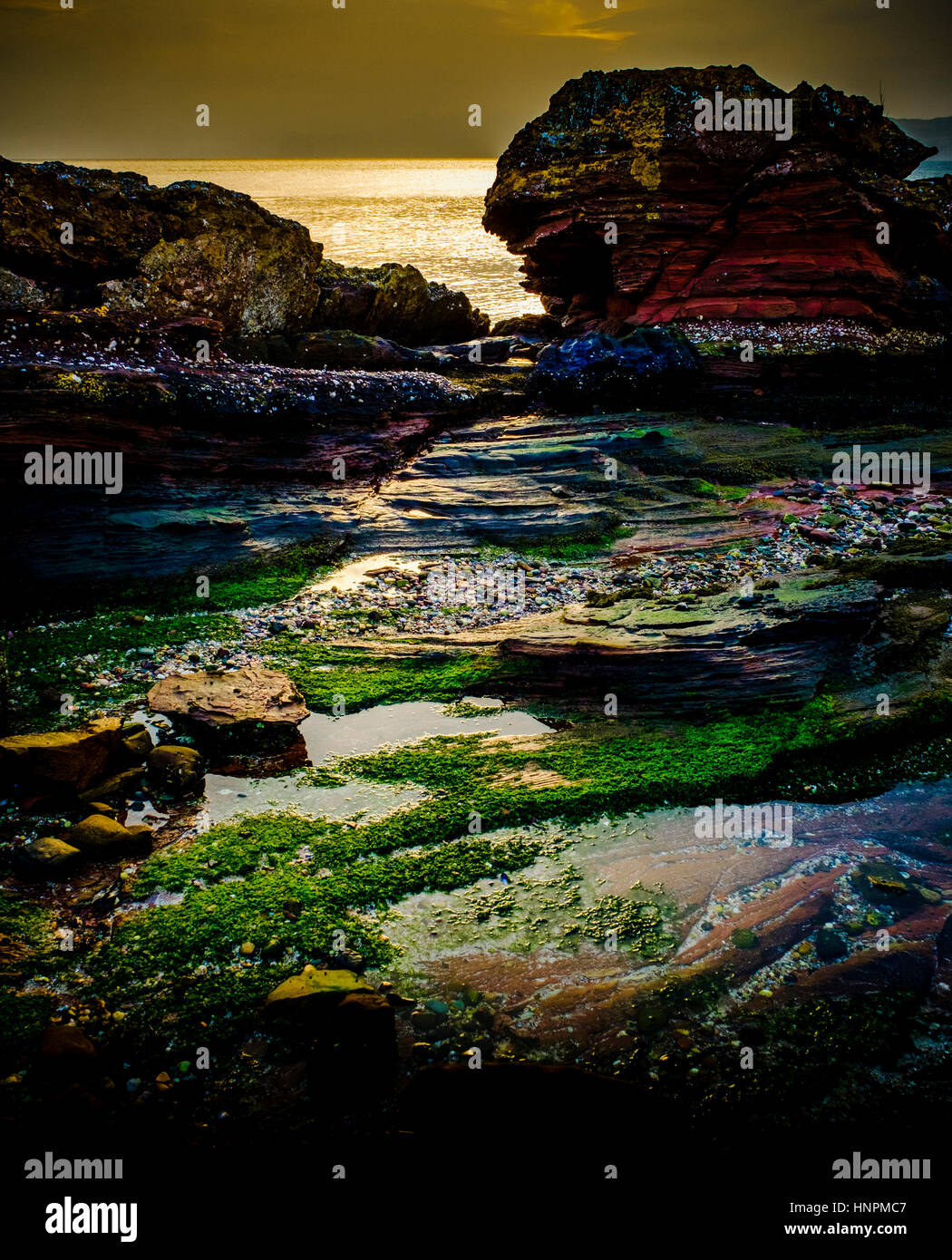 Evening light on rocks on the west coast of the island of Great Cumbrae ...